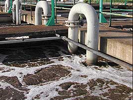effluent - | IWE Ltd