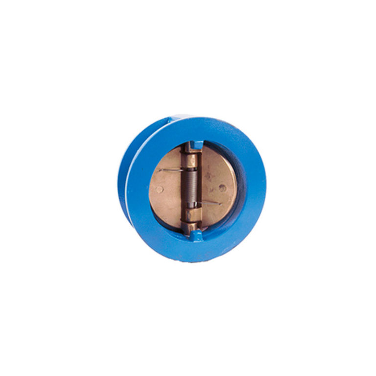 Double Plate Check Valves from Industrial Water Equipment Ltd